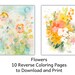 10 Enchanting Floral Reverse Coloring Pages Bundle. You Draw the Lines ...