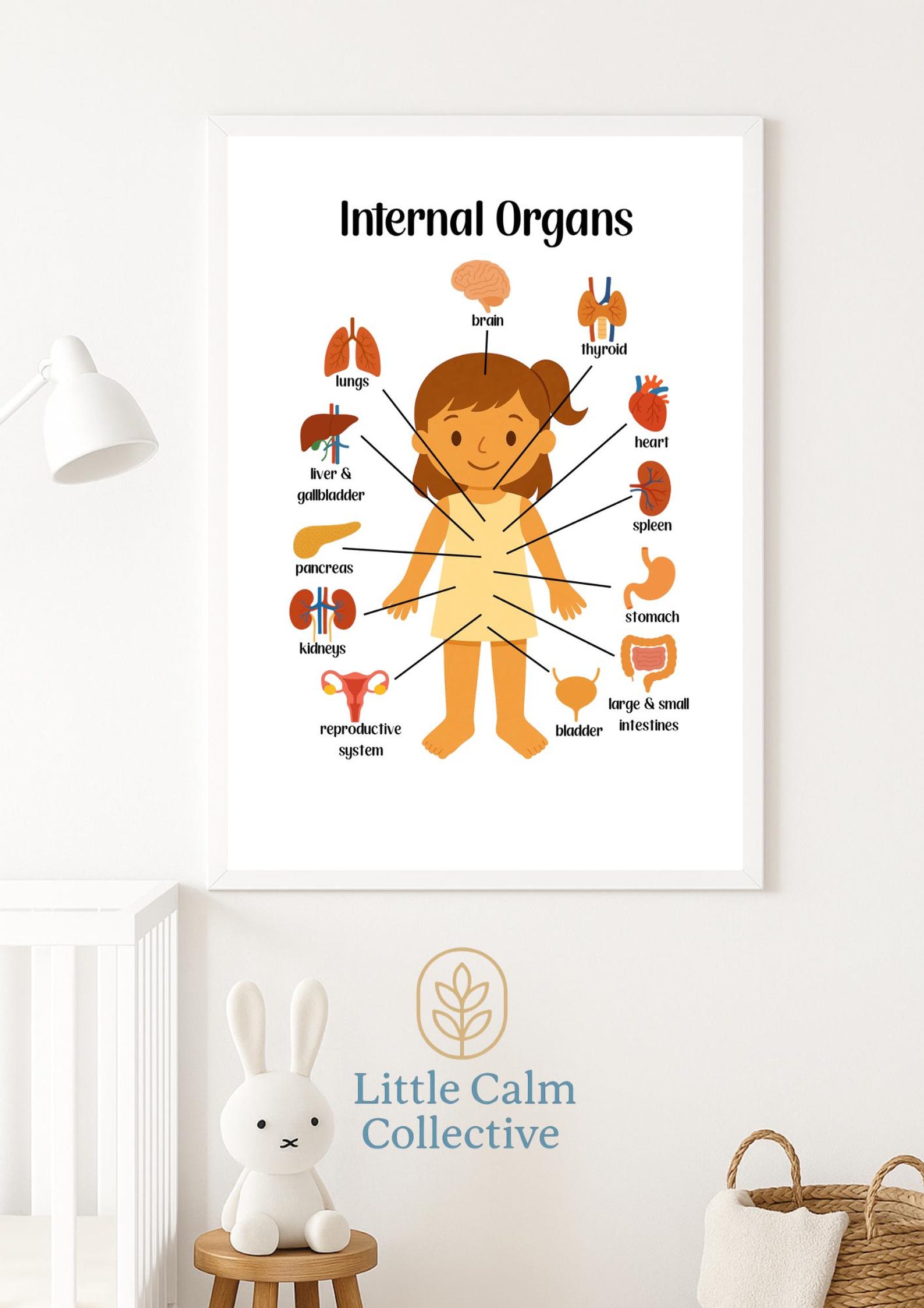 Internal Organs Poster for Kids | Educational Human Body Chart ...