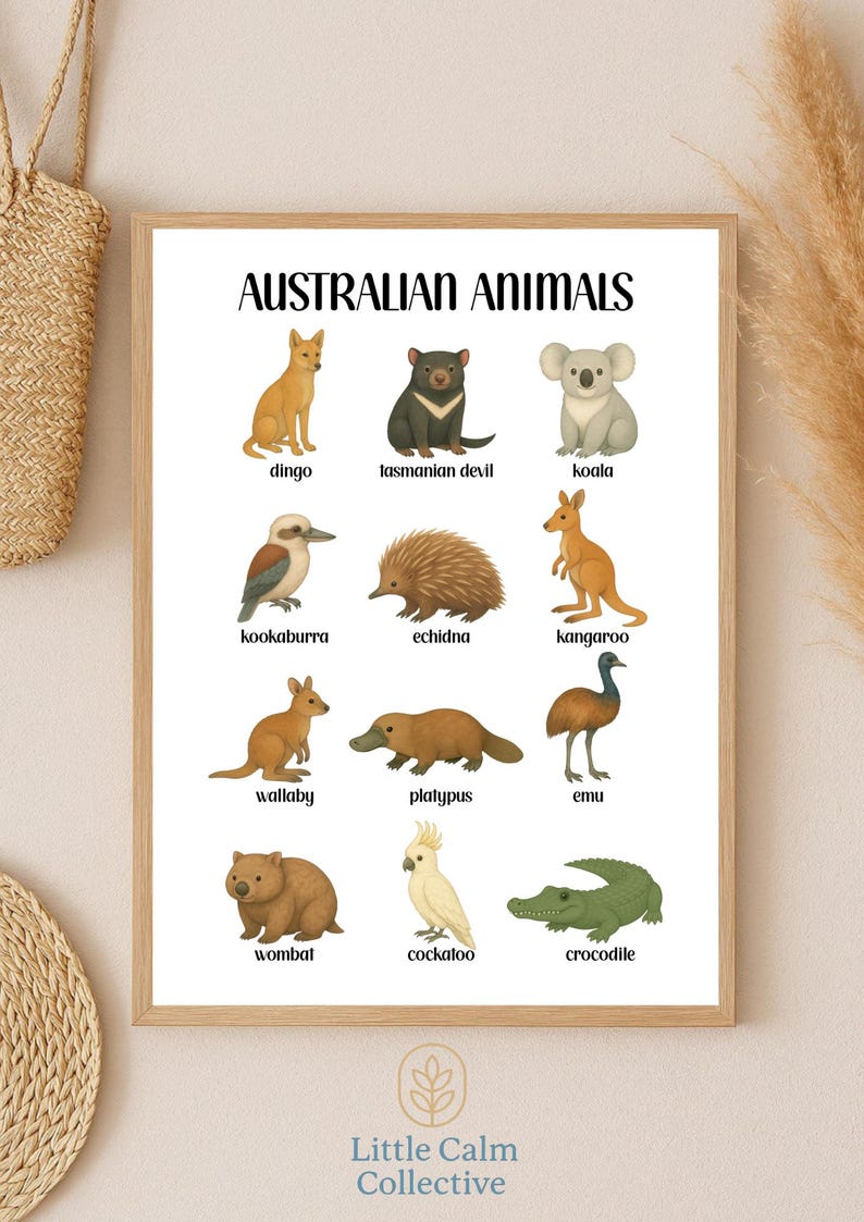 Australian Animals, Printable Poster, Digital Download, Nursery Wall ...
