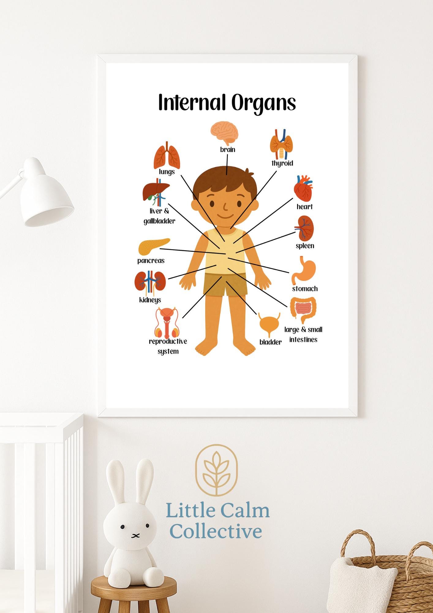 Internal Organs Poster for Kids | Educational Human Body Chart ...