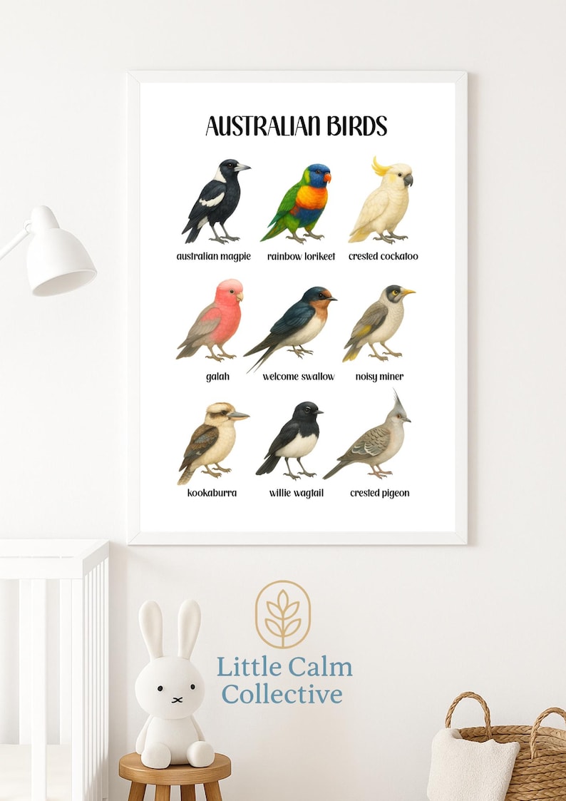 Australian Birds Poster – Watercolour Bird Print for Kids Room, Nursery ...