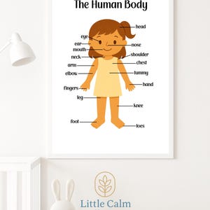 The Human Body Poster for Kids – Boy & Girl + Set Label Yourself Bonus ...