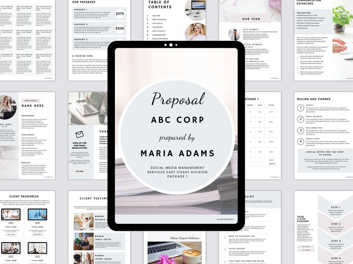 Client Proposal Packet Template, Portfolio Template, Project Management ...