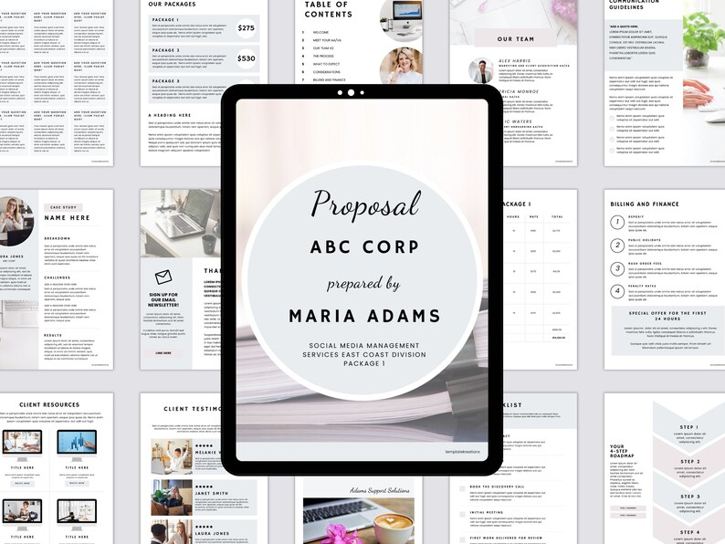 Client Proposal Packet Template, Portfolio Template, Project Management ...