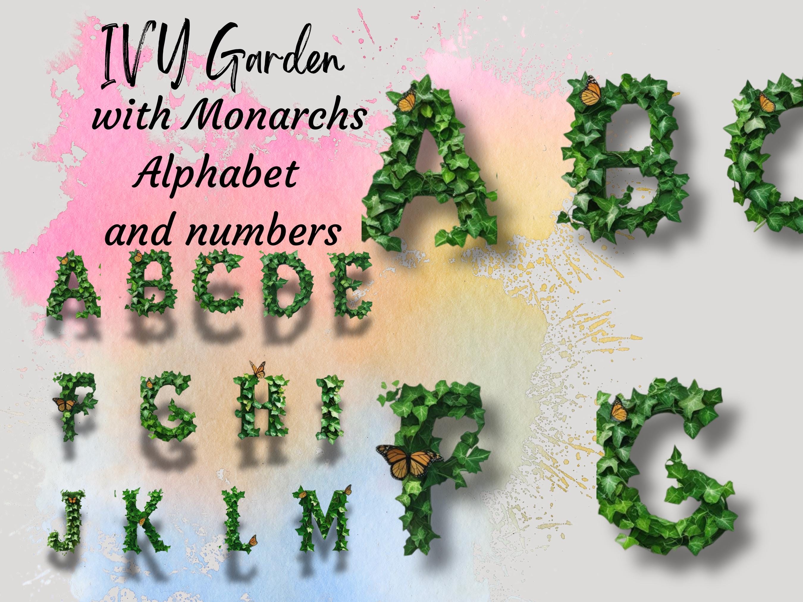 Butterfly Alphabet & Numbers: Ivy Nature Font Clipart (PNG Digital ...