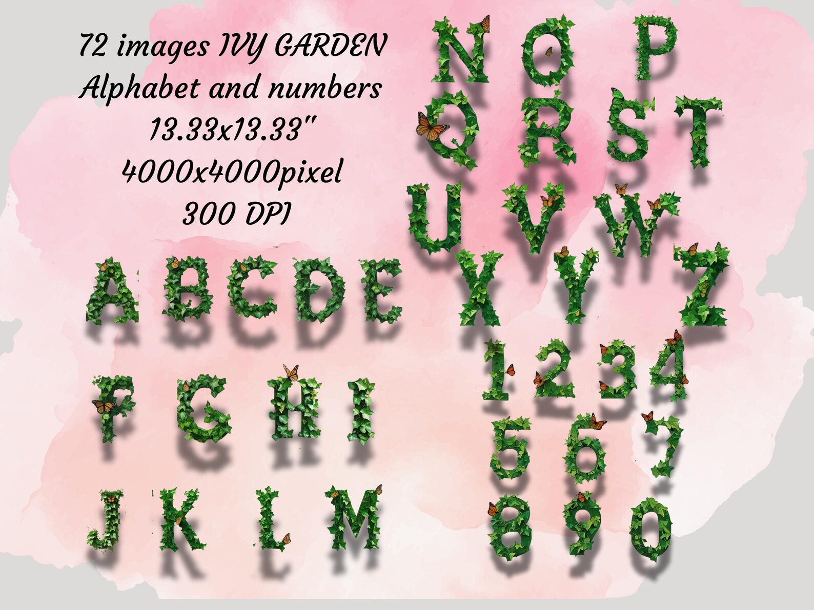 Butterfly Alphabet & Numbers: Ivy Nature Font Clipart (PNG Digital ...