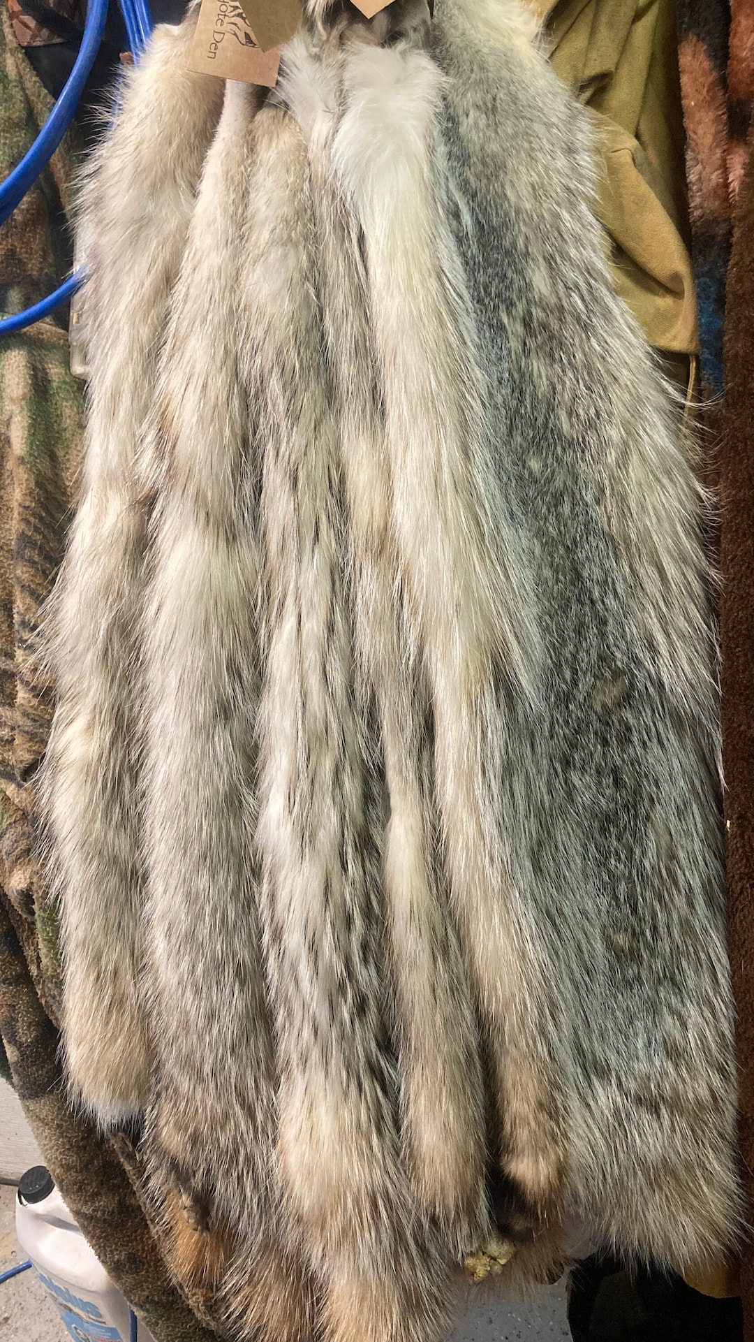 Tanned Badger - Etsy