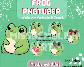 WIZARD FROG Pngtuber | Png-tuber Model for Twitch, Youtube, Discord | Streaming Graphics | Cute ...