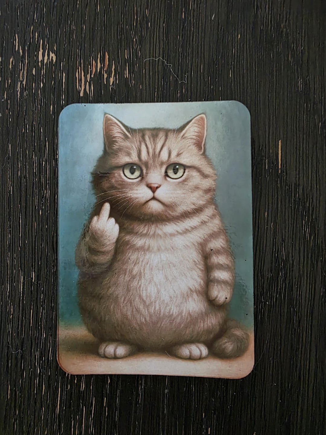 Funny Cat Magnet: Moody Grey Tabby - Sarcastic Kitty Fridge Decor - Etsy