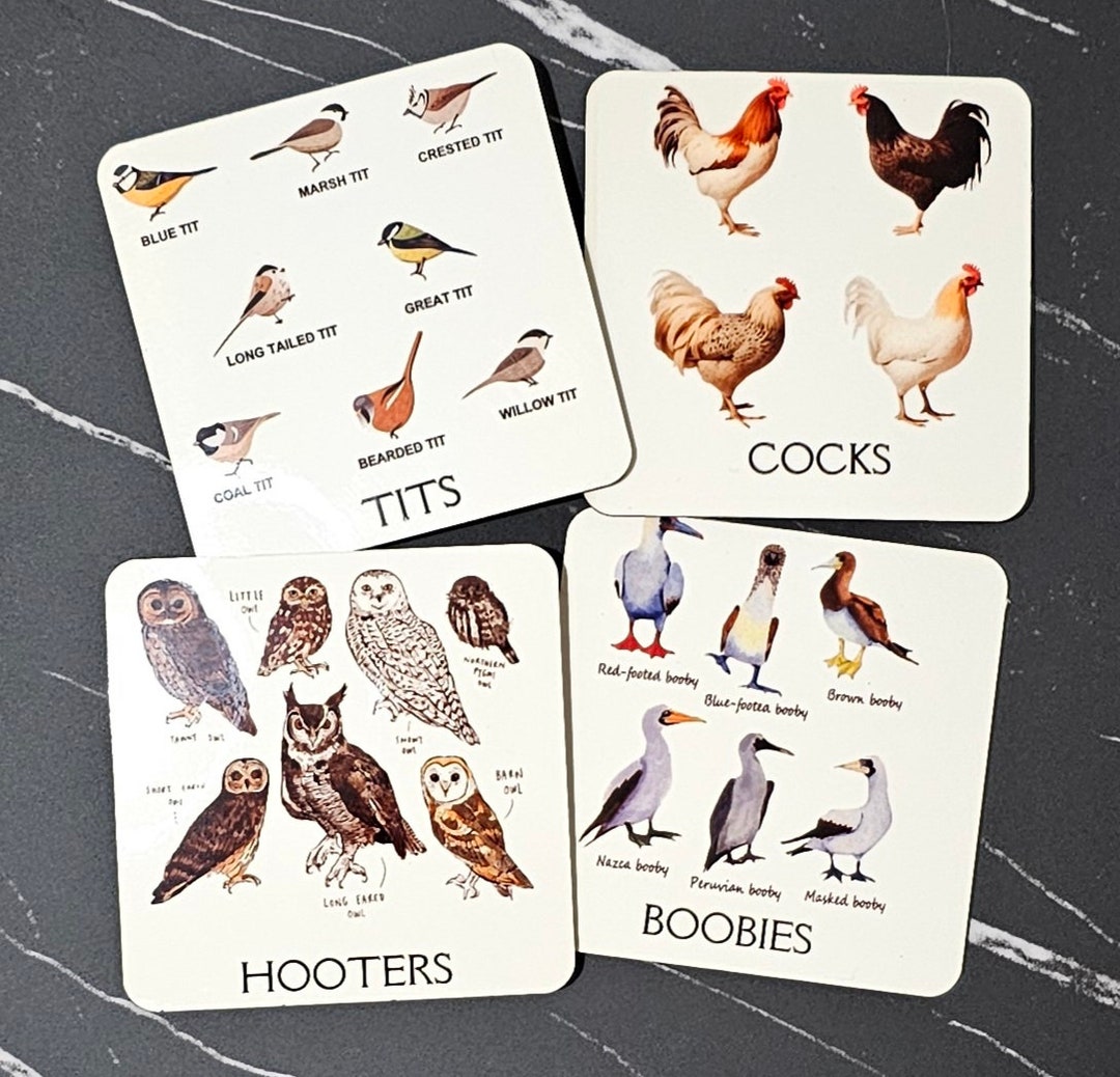 Funny Birds Drink Coasters - Set of 4, Playful Bar Decor - Etsy