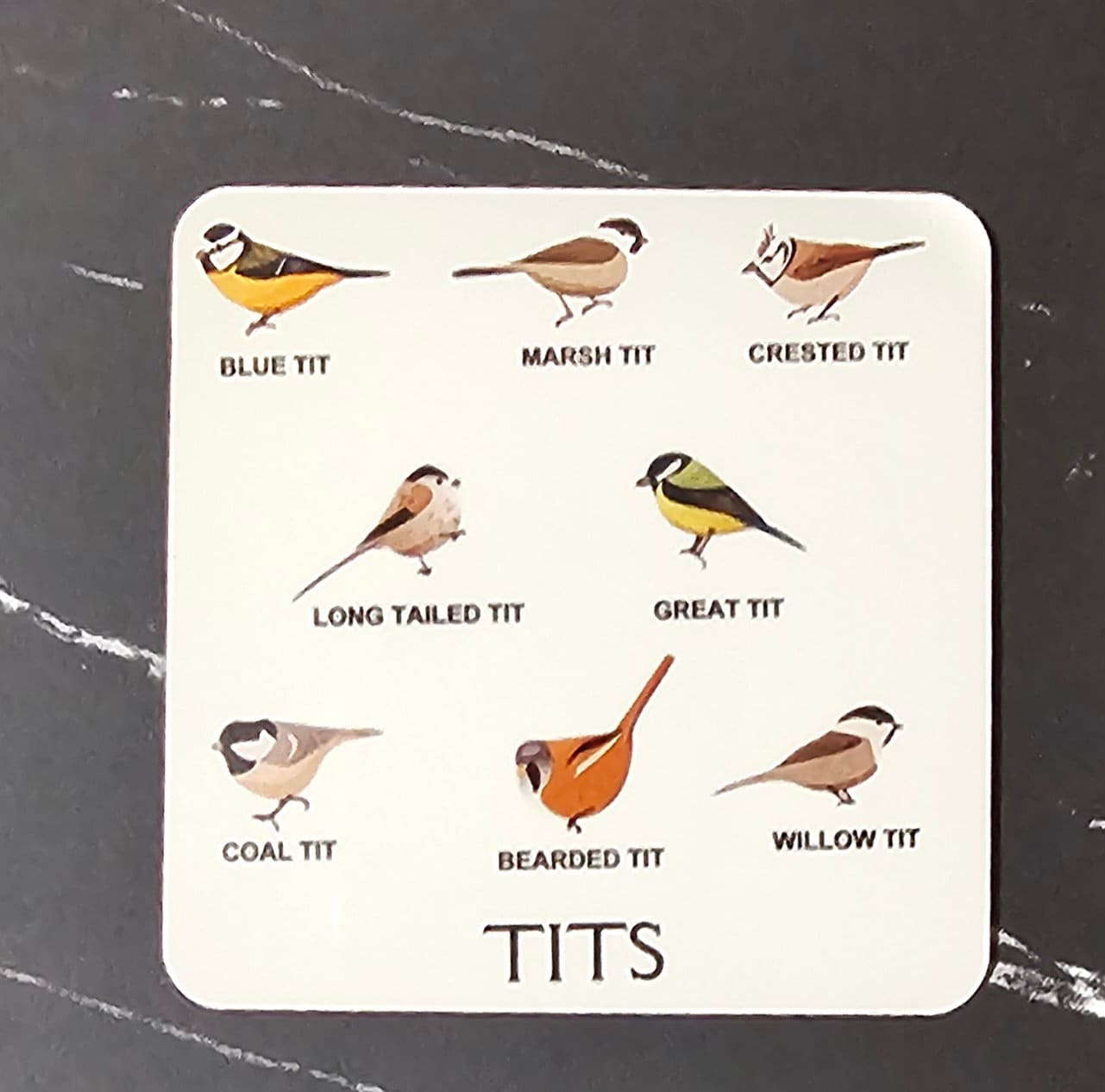 Funny Birds Drink Coasters - Set of 4, Playful Bar Decor - Etsy