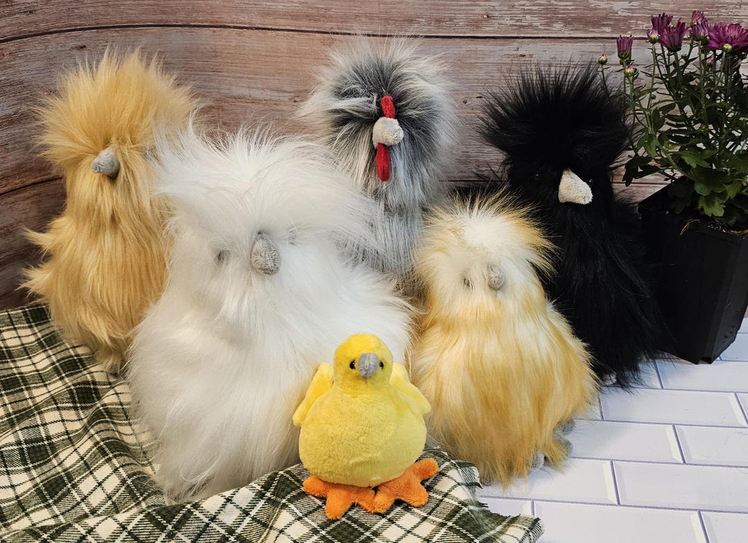 A Whole Flock of Silkie Chicken Plushies! Plus a Hatchling! Silkie ...