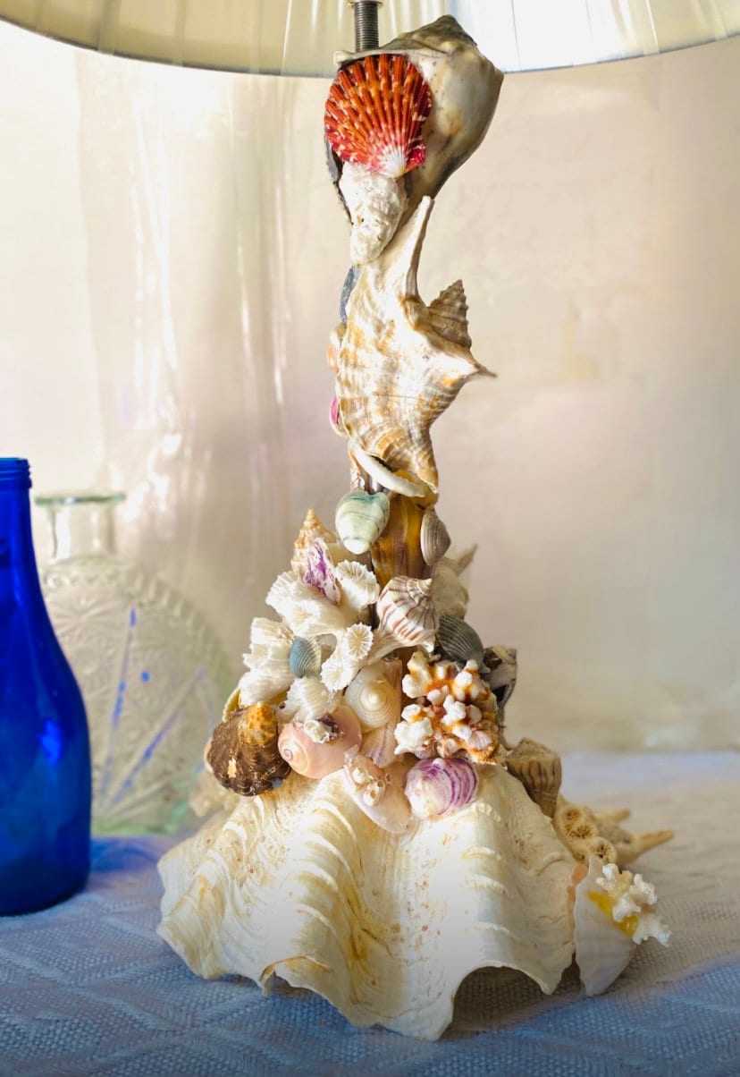 Coastal Seashell Lamp - Etsy