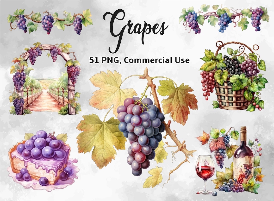 51 Grapes Clipart High Quality Pngs Botanical Art Grape - Etsy