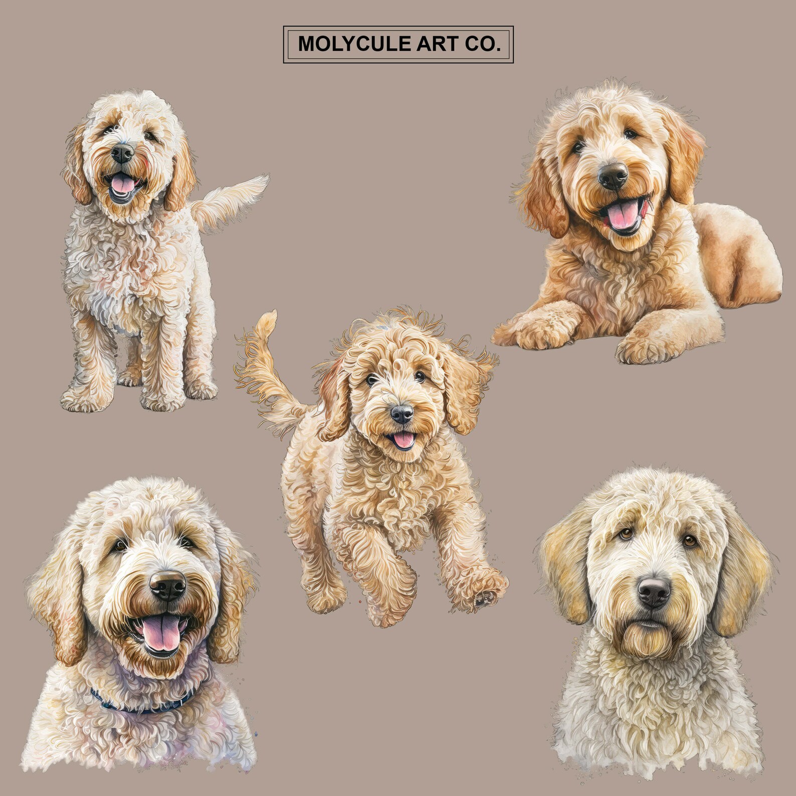 25 Goldendoodle Clipart | Dog PNG | Golden Doodle PNG | Cute Dog ...