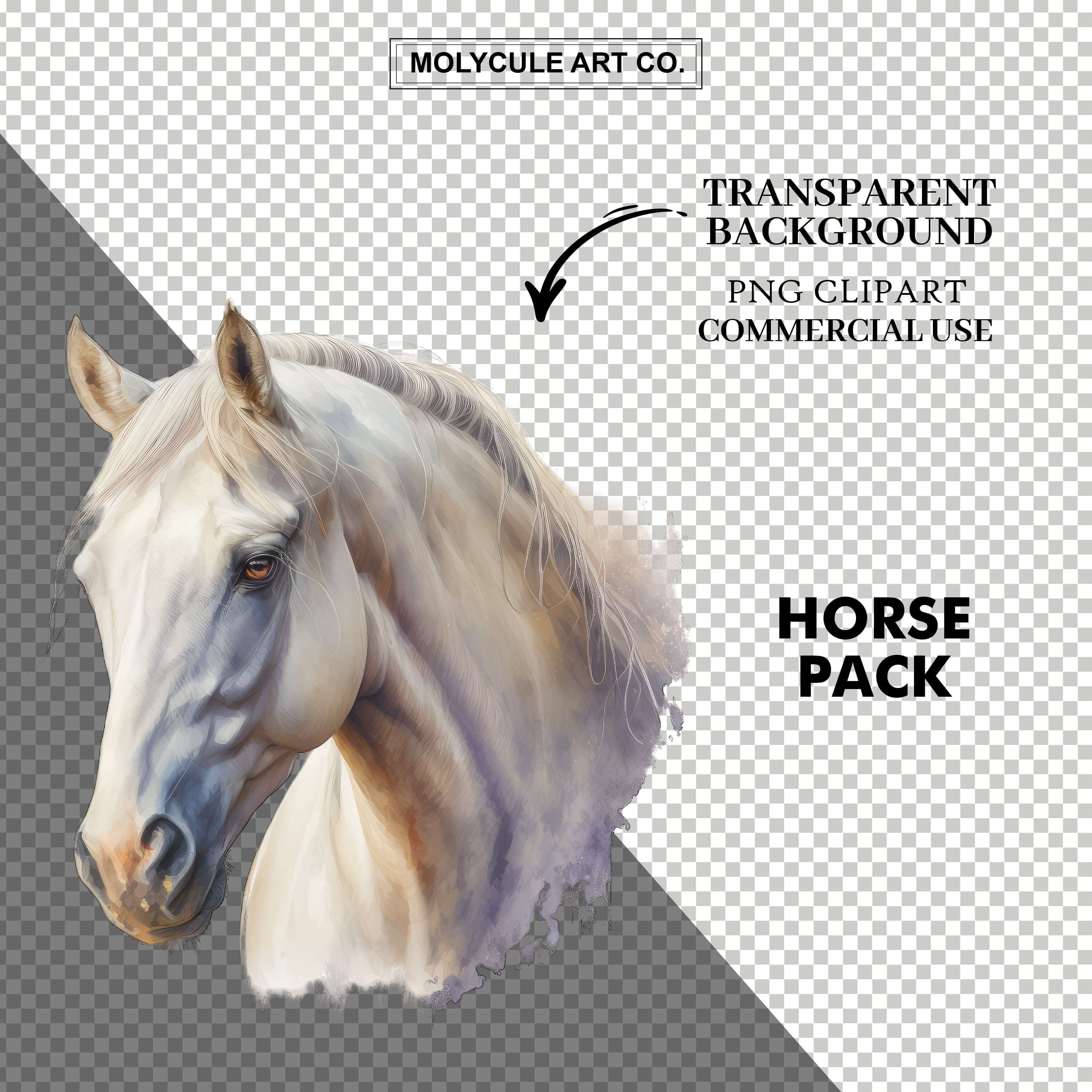 25 Horse PNG | Horse Clipart Set | Watercolor Horse Sublimation Designs ...