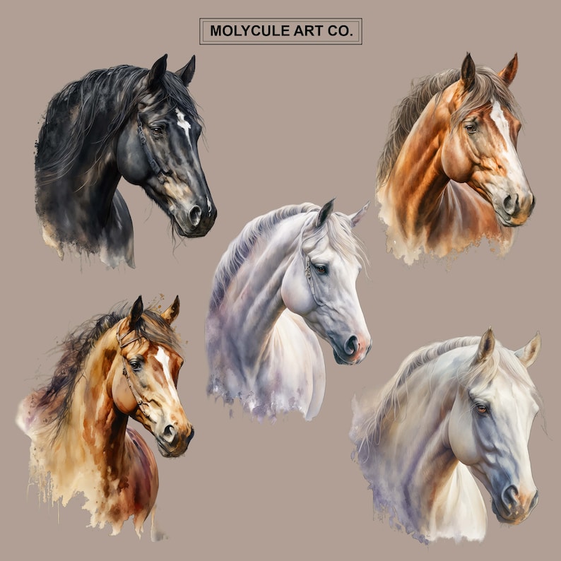 25 Horse PNG Horse Clipart Set Watercolor Horse - Etsy
