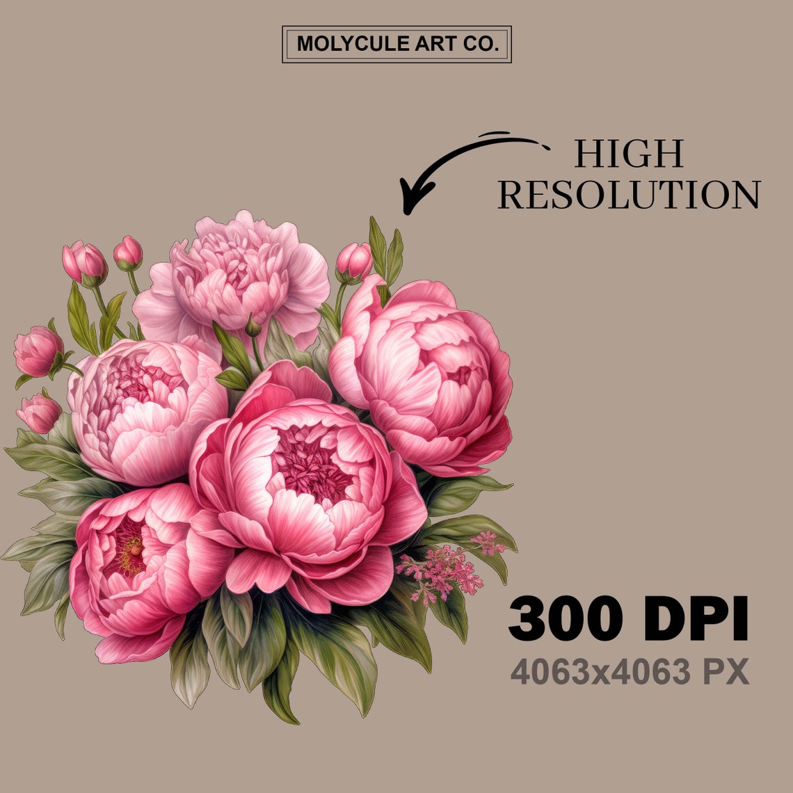 27 Pink Peonies Clipart Pink Flower Clipart Floral PNG - Etsy