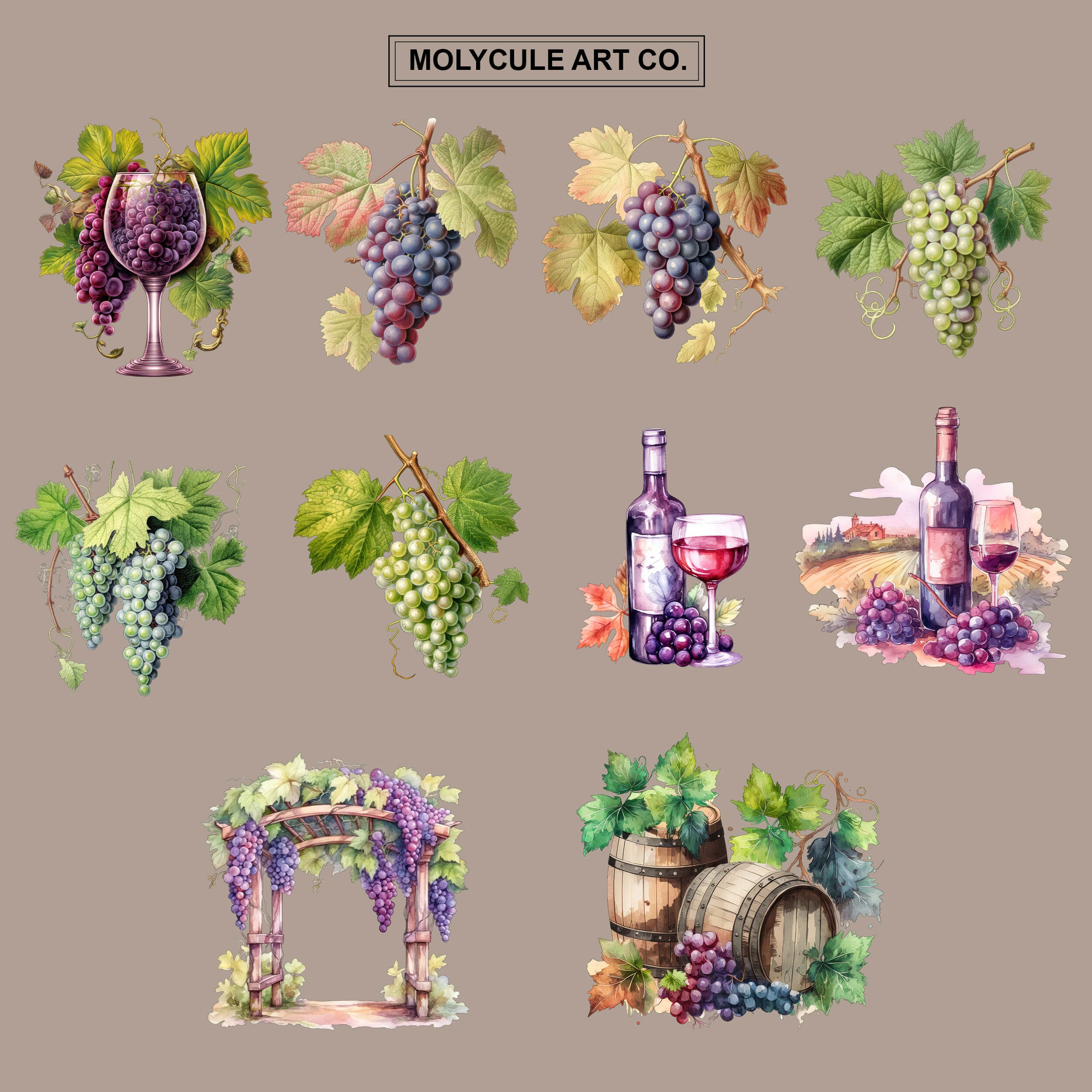51 Grapes Clipart, High Quality Pngs, Botanical Art, Grape Wine Clip ...