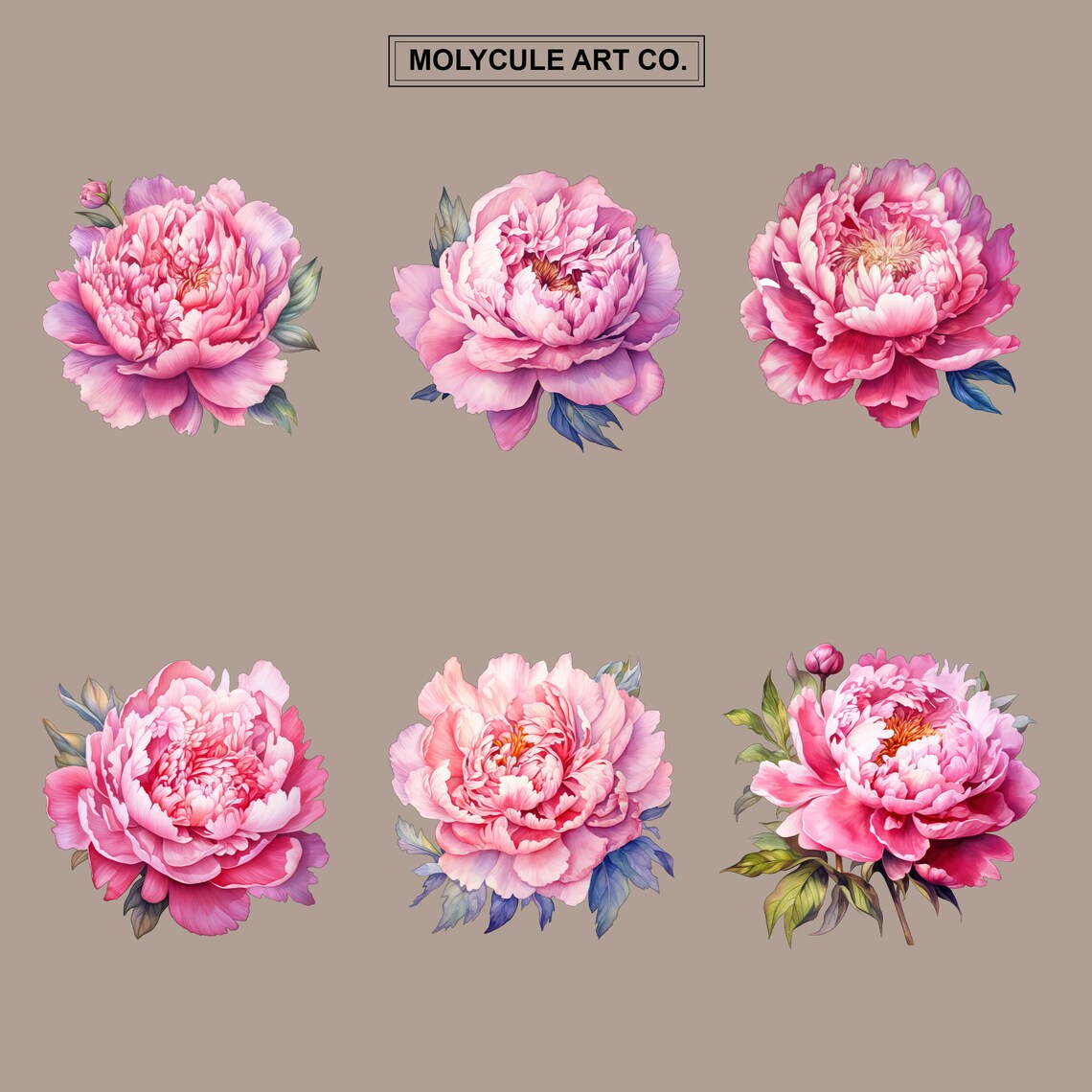 27 Pink Peonies Clipart Pink Flower Clipart Floral PNG - Etsy