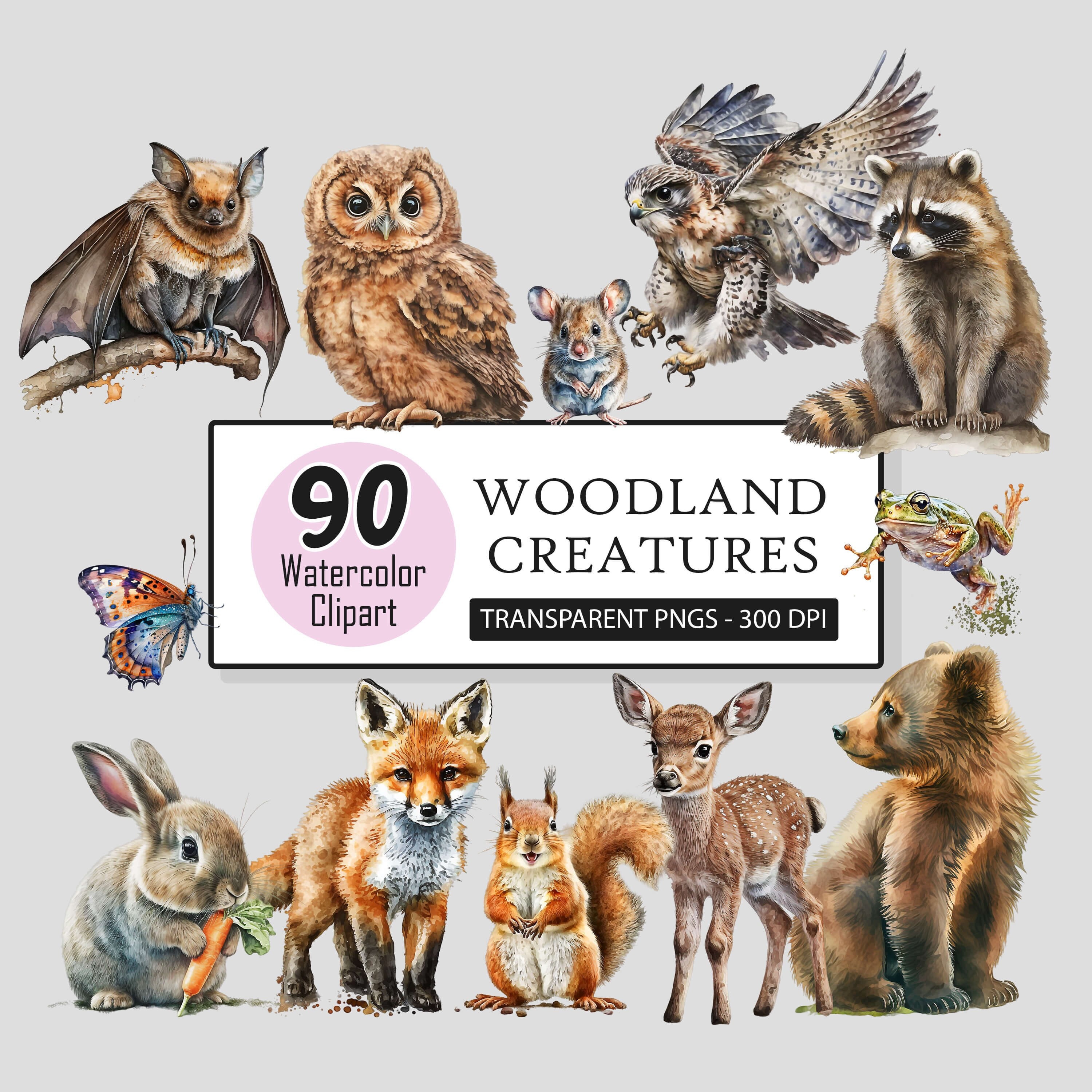 Woodland Animals Clipart Watercolor, 90 Transparent Pngs, Clipart for ...
