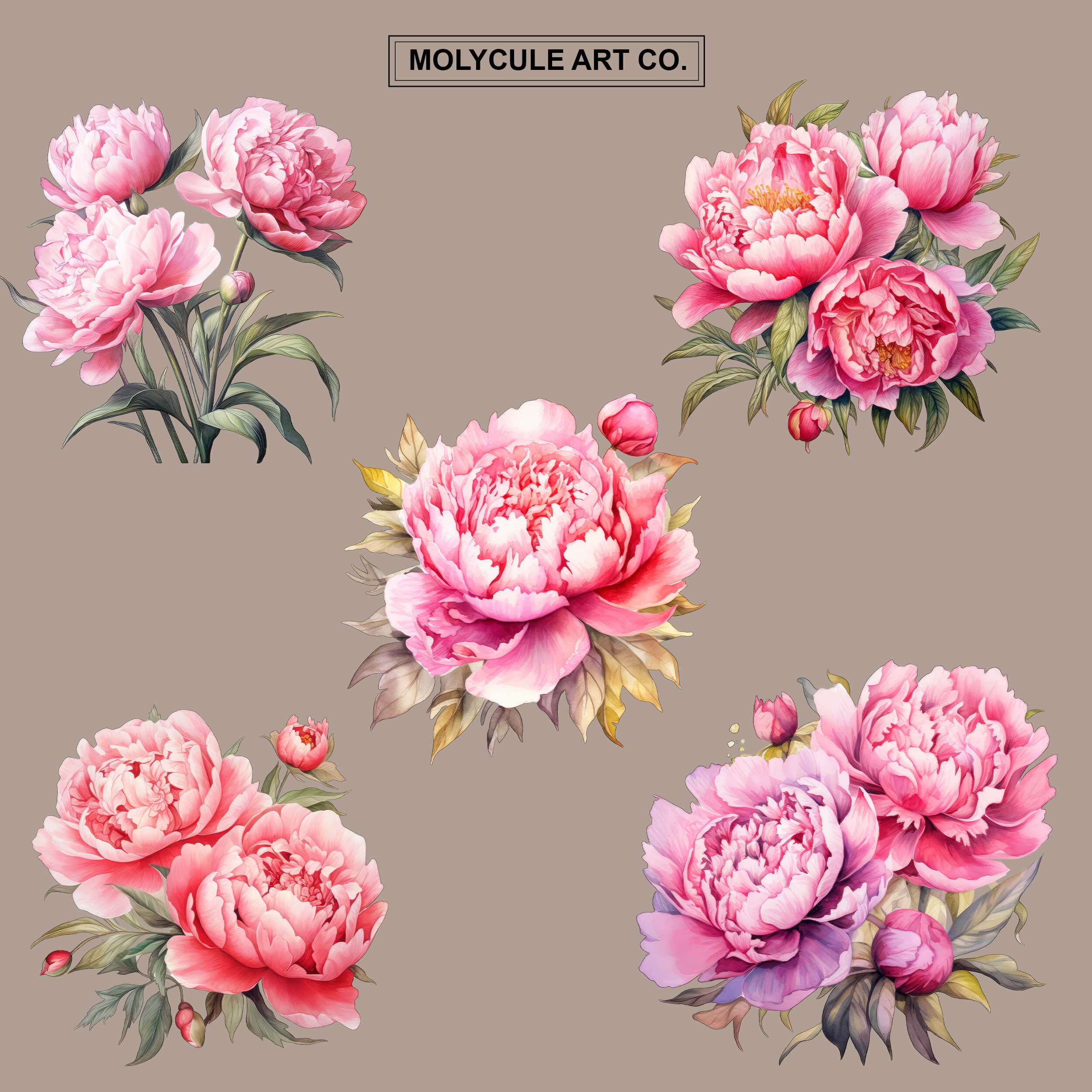 27 Pink Peonies Clipart Pink Flower Clipart Floral PNG Watercolor ...