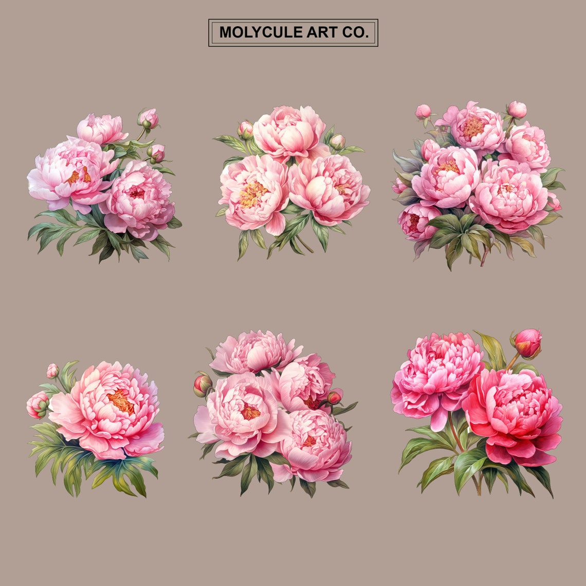 27 Pink Peonies Clipart Pink Flower Clipart Floral PNG - Etsy