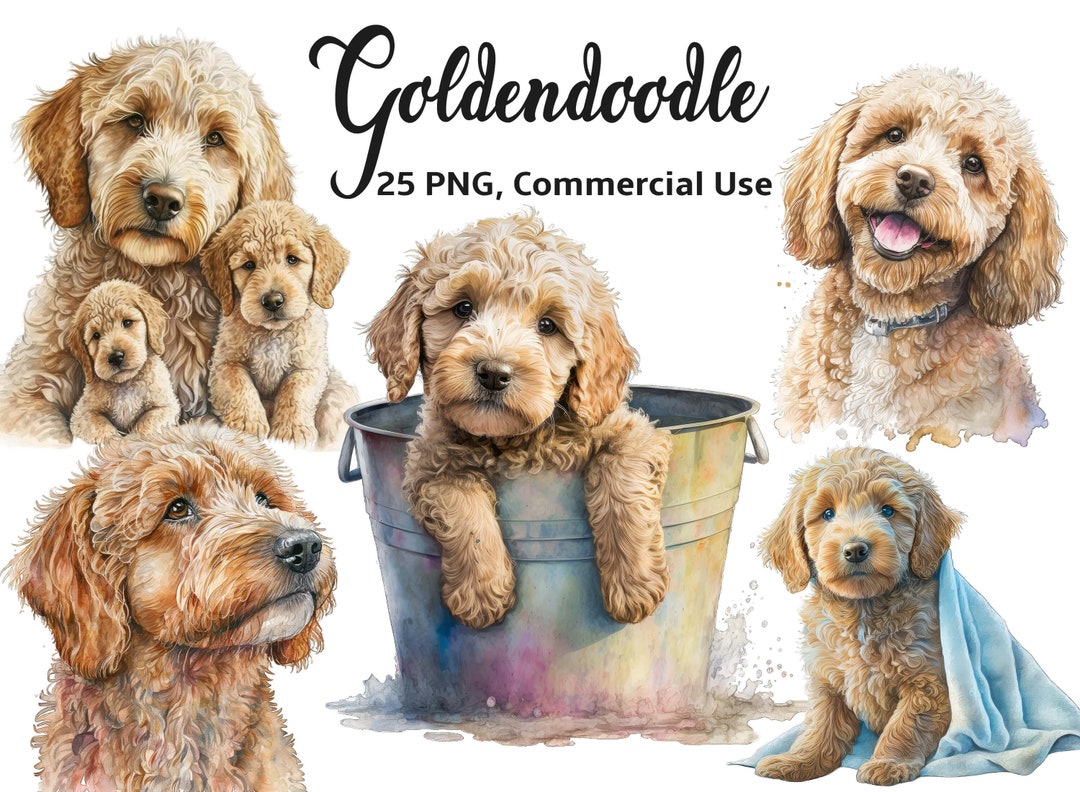 25 Goldendoodle Clipart | Dog PNG | Golden Doodle PNG | Cute Dog ...