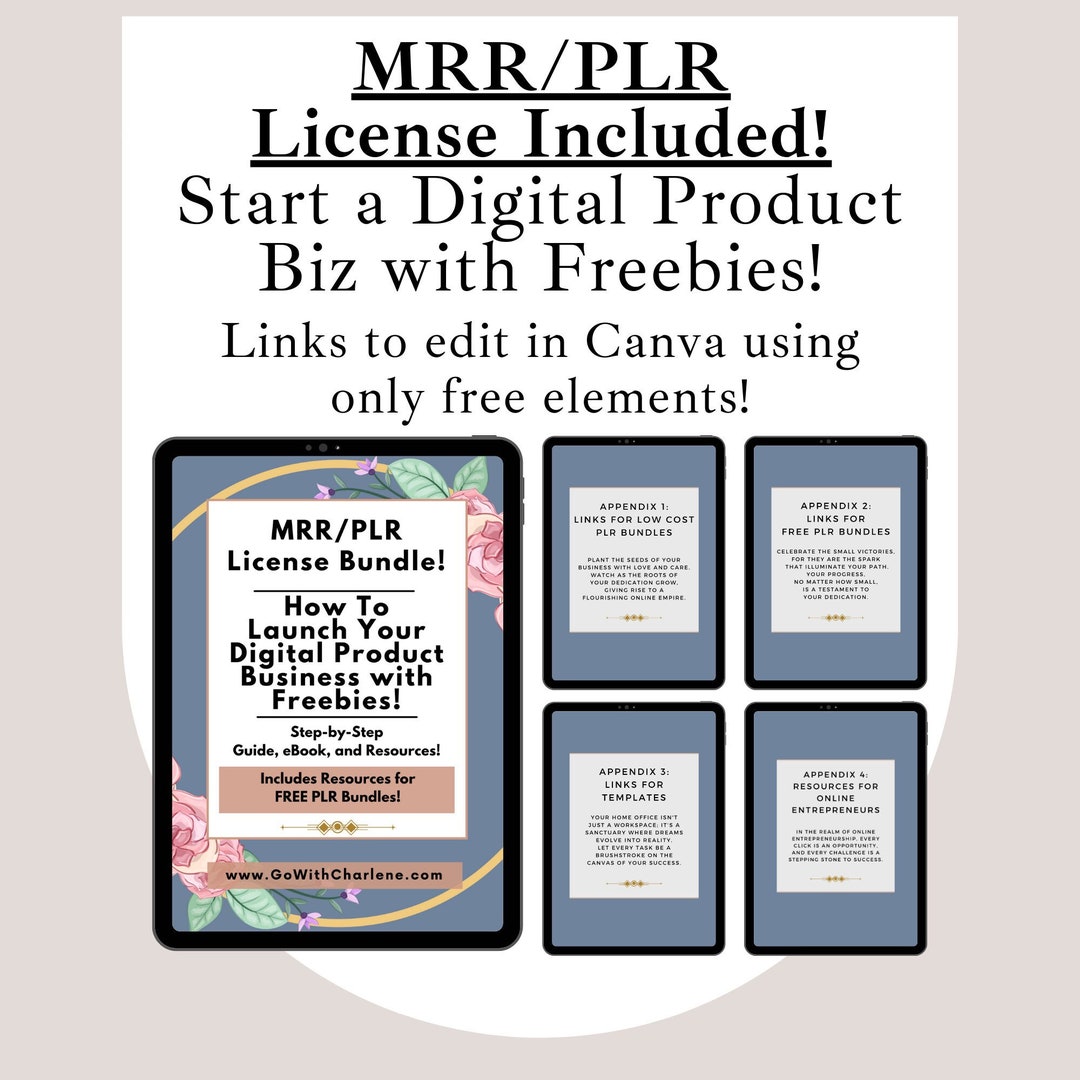 Mrr Plr How To Launch Digital Product Business With Freebies Step By