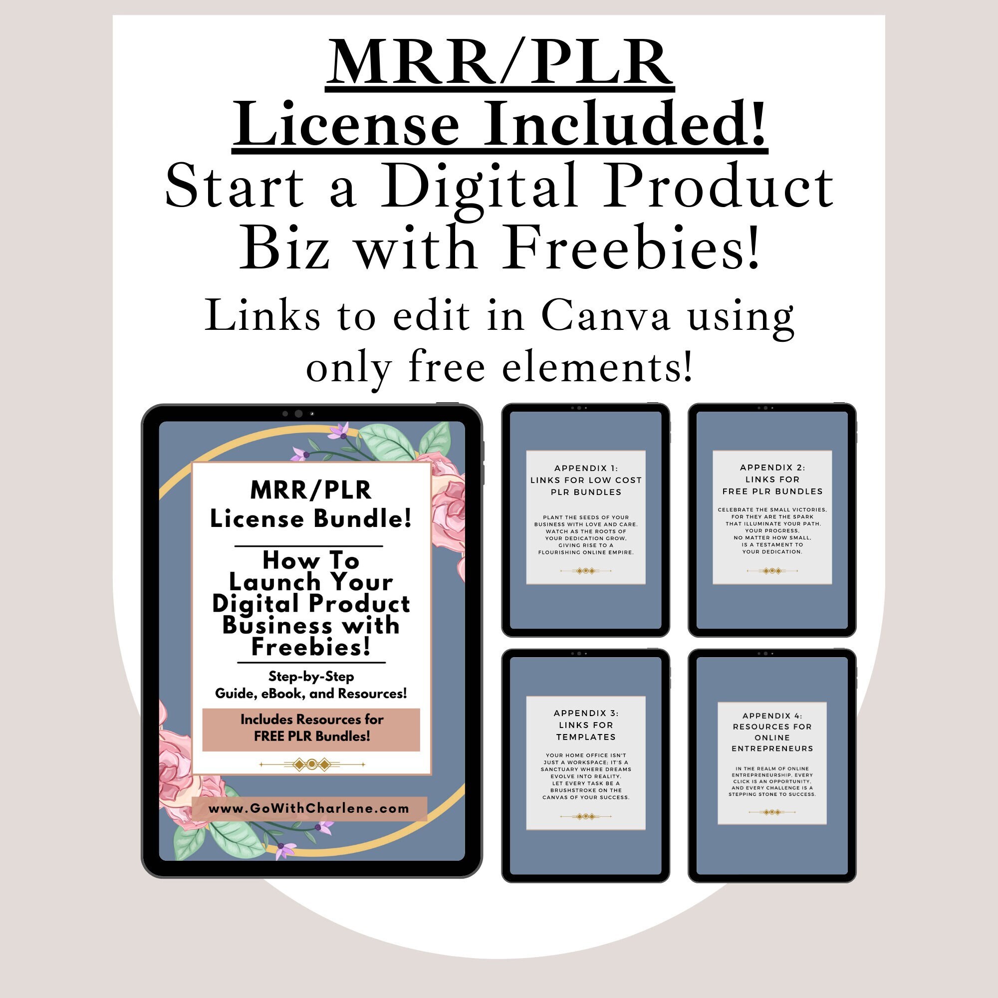 MRR/PLR How to Launch Digital Product Business With Freebies | Step-by ...