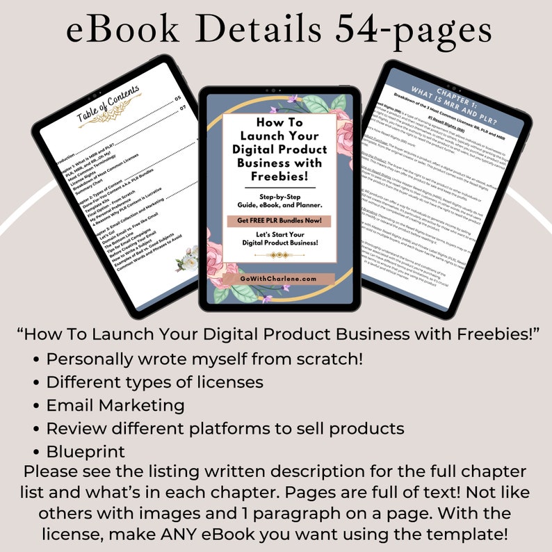 MRR/PLR How to Launch Digital Product Business With Freebies | Step-by ...