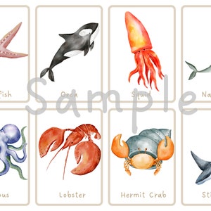Printable Ocean Themed Flashcards, Classroom Decor, Toddlers, Preschool ...