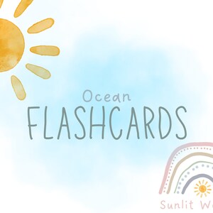 Printable Ocean Themed Flashcards Classroom Decor Toddlers - Etsy
