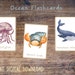 Printable Ocean Themed Flashcards Classroom Decor Toddlers - Etsy
