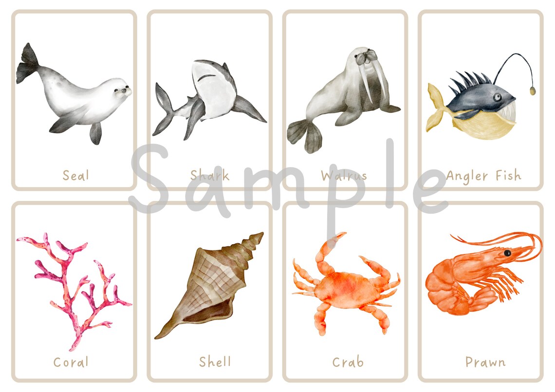 Printable Ocean Themed Flashcards, Classroom Decor, Toddlers, Preschool ...