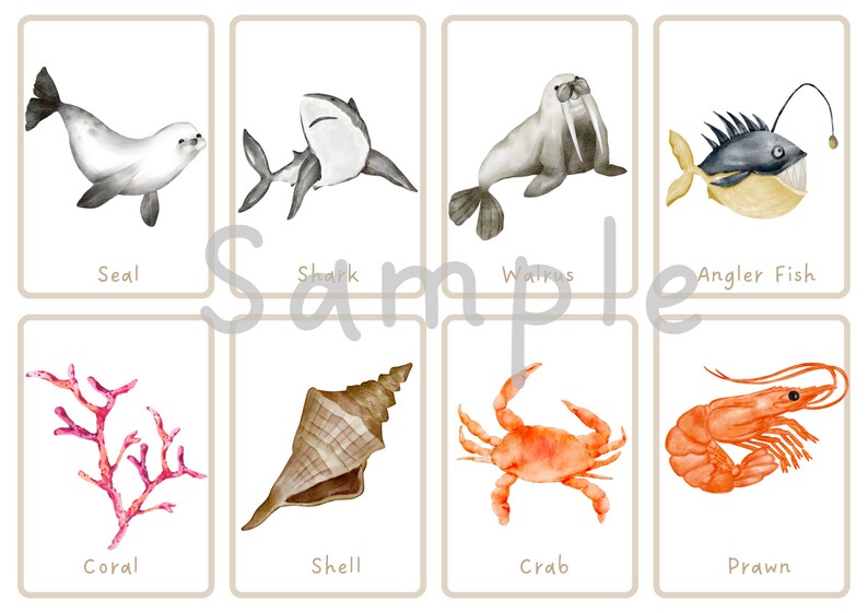 Printable Ocean Themed Flashcards, Classroom Decor, Toddlers, Preschool ...
