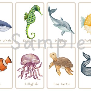 Printable Ocean Themed Flashcards, Classroom Decor, Toddlers, Preschool ...