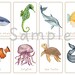 Printable Ocean Themed Flashcards, Classroom Decor, Toddlers, Preschool ...