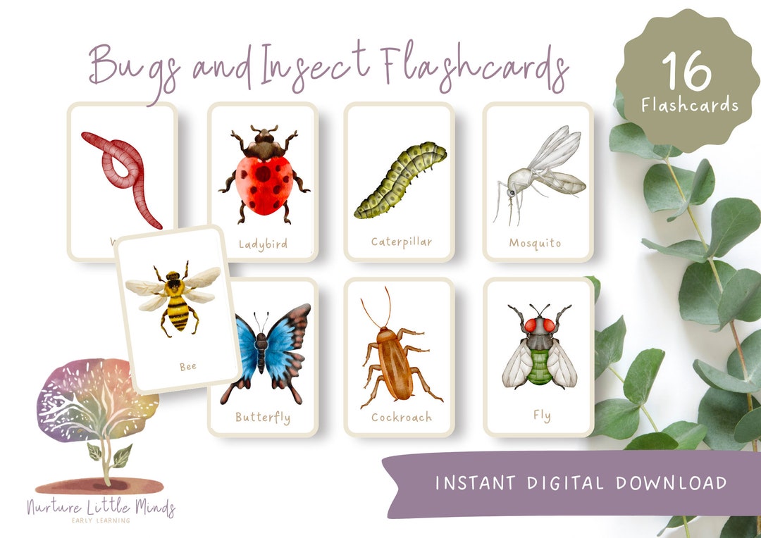 Printable Bugs and Insects Themed Flashcards, Classroom Decor, Toddlers ...