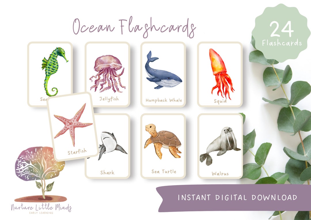 Printable Ocean Themed Flashcards, Classroom Decor, Toddlers, Preschool ...