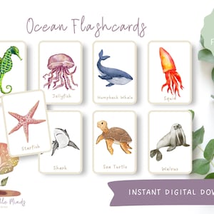 Printable Ocean Themed Flashcards, Classroom Decor, Toddlers, Preschool ...