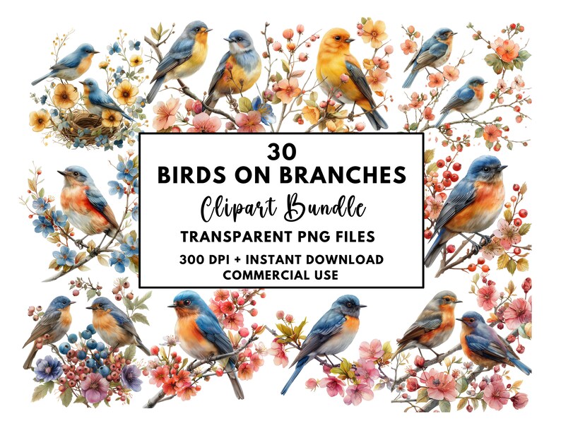 Birds on Branches Clipart Bundle, Watercolour Birds PNG, Birds and ...