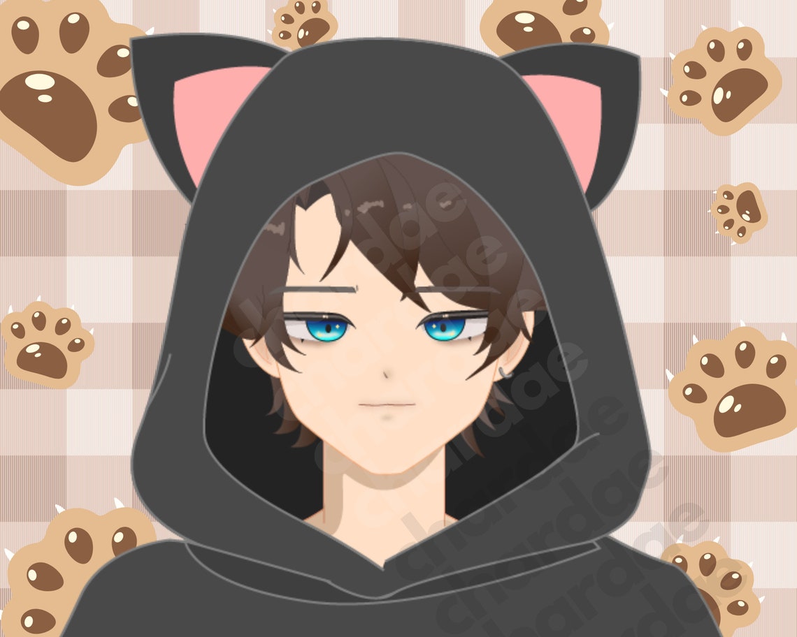 PNG Vtuber Cat Male - Etsy