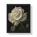 White Rose Framed Vertical Poster Wall Art Home Decor - Etsy