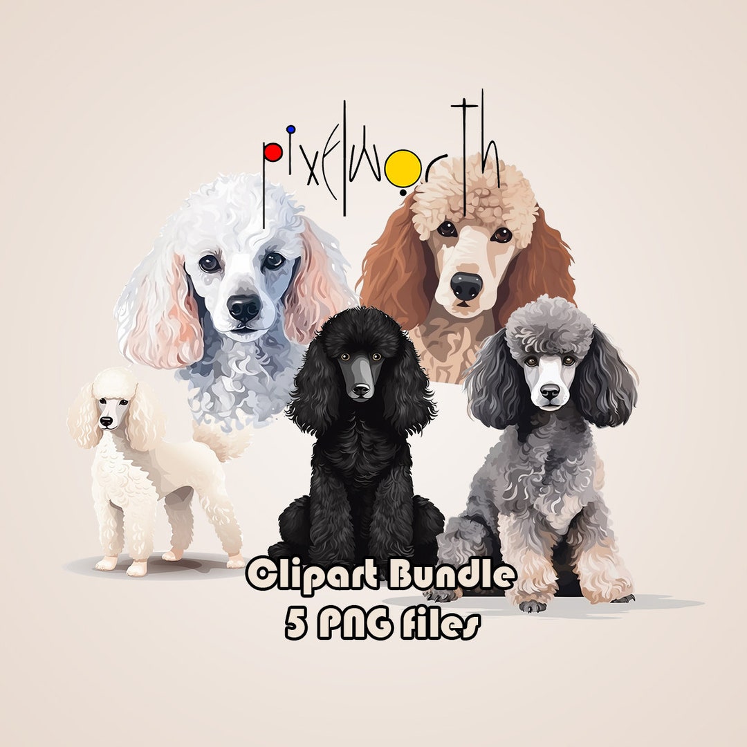 Pudel PNG Hund 5 PNG Clipart Bundle Sofortiger Download - Etsy Schweiz