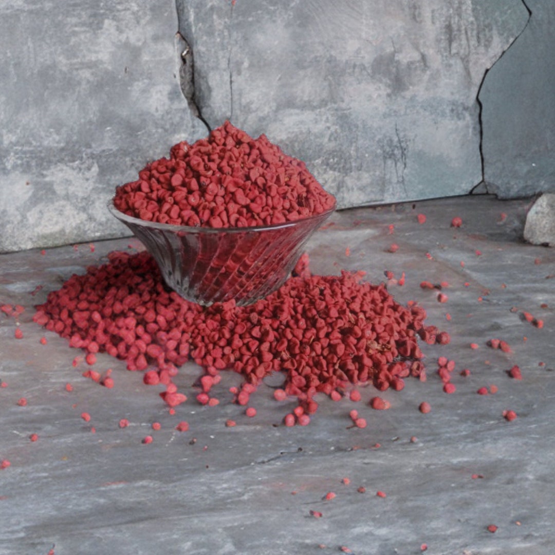 Annatto Seeds Achiote Tree achiote Seeds Achiote Bixa Orellana - Etsy