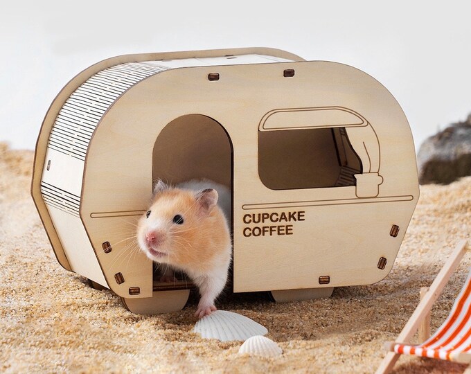 Robo Dwarf Hamster, Realistic Needle Felted Hamster READY TO SHIP - Etsy