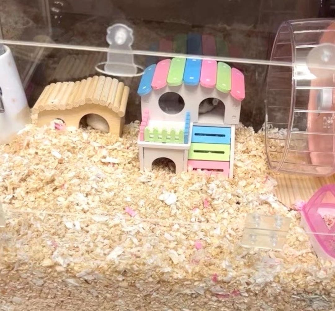 Handcrafted Rainbow Quail Mini House / Hamster Home: Cozy Country Club ...