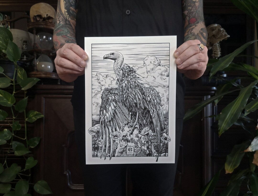 A4 Riso Print the Scavenger Vulture, Bird, Rock, Poppy, Clouds ...