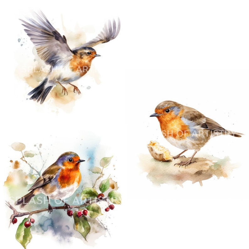 Robin Watercolor Clipart Robin Painting Crafts Robin Art Card Robin ...